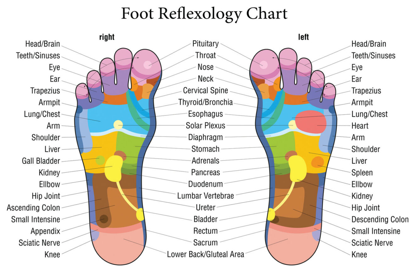 Benefits of Reflexology for The Lymphatic System - Healthy Huemans